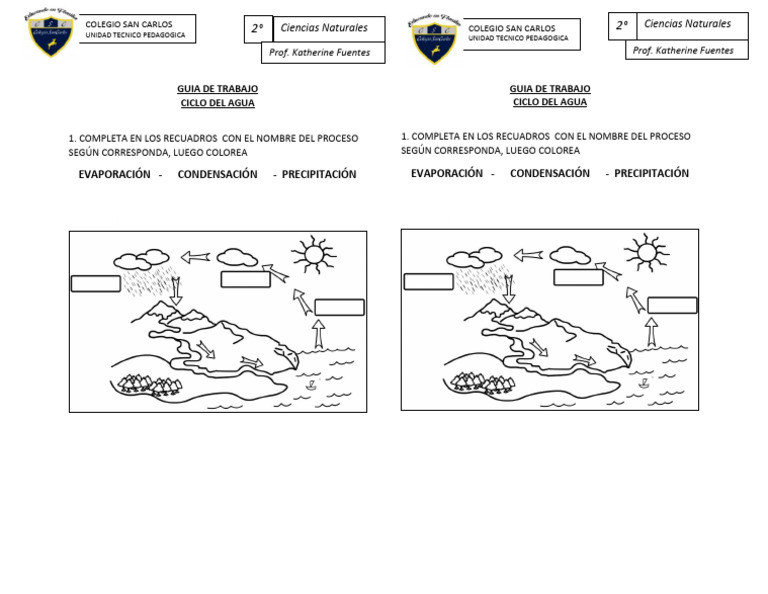 Guia de Trabajo Ciclo Del Agua 2° | PDF