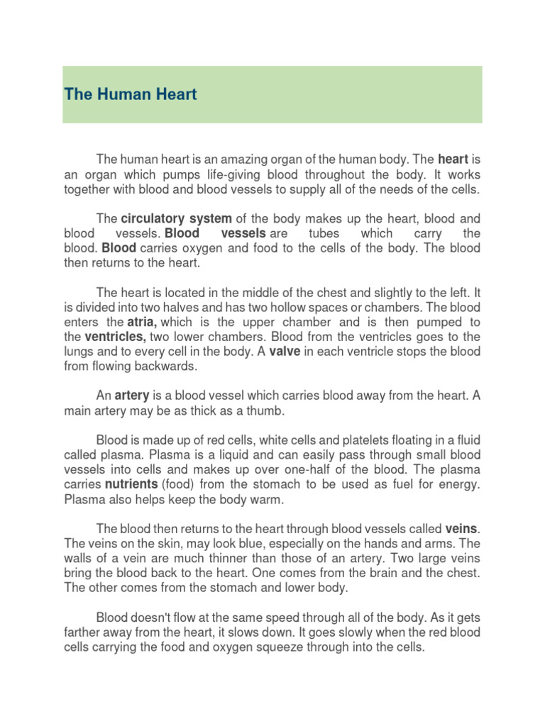 The Human Heart | PDF | Blood | Heart