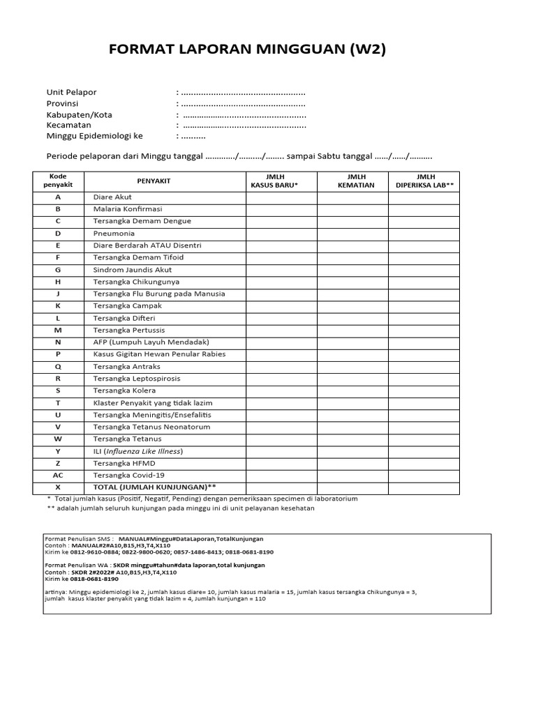 Format Laporan Mingguan | PDF