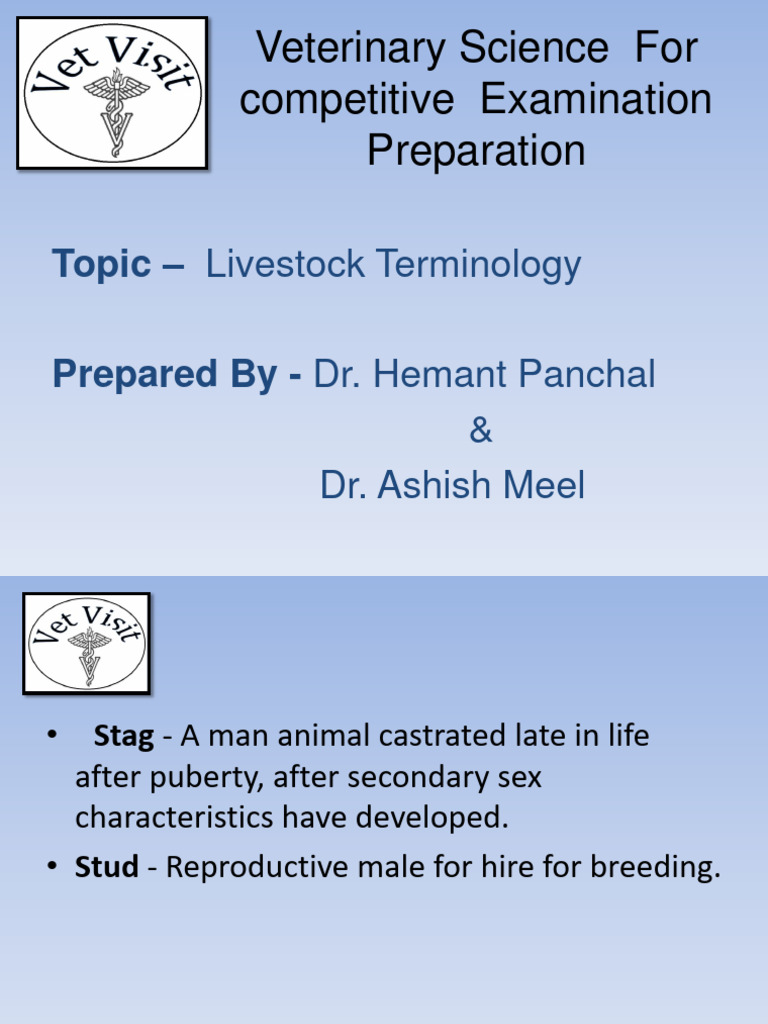 Livestock Terminology | PDF | Chicken | Cattle