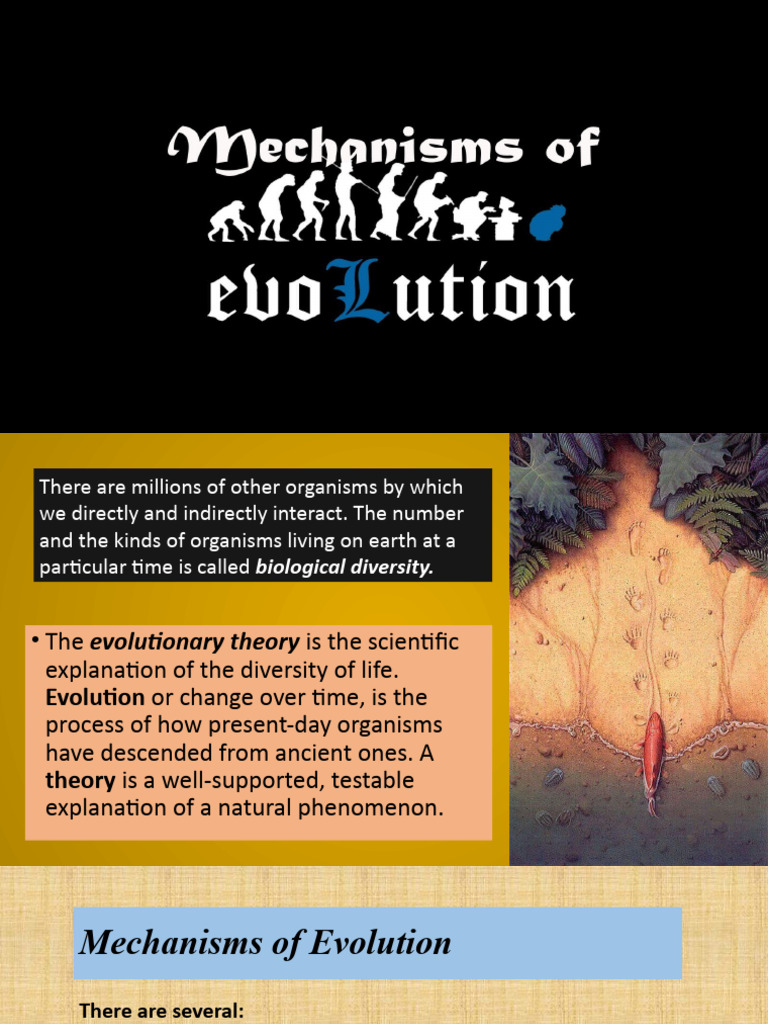 Evolution | PDF | Mutation | Evolution