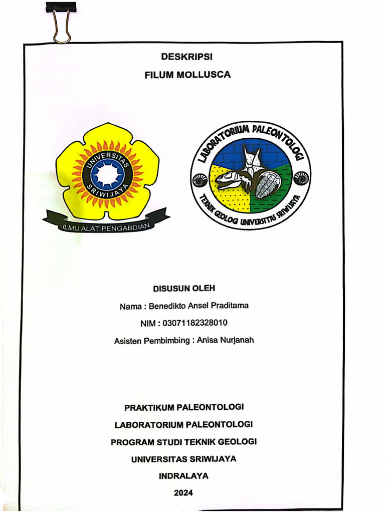 Deskripsi Mollusca | PDF