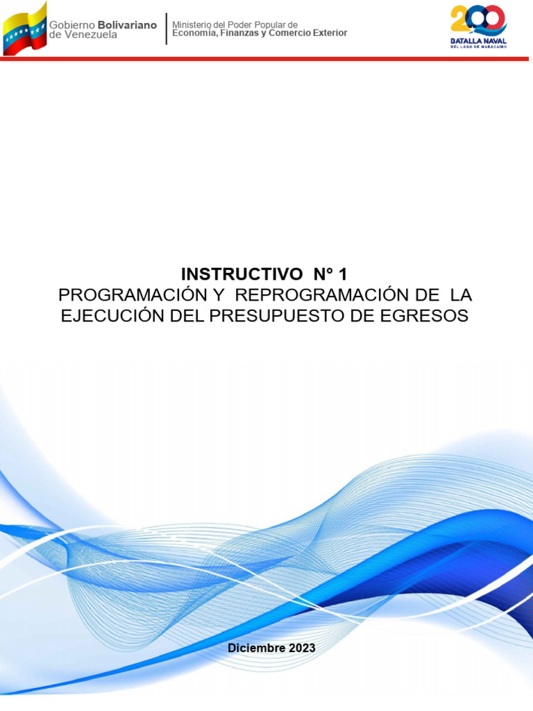 Instructivo N 1 | PDF | Presupuesto