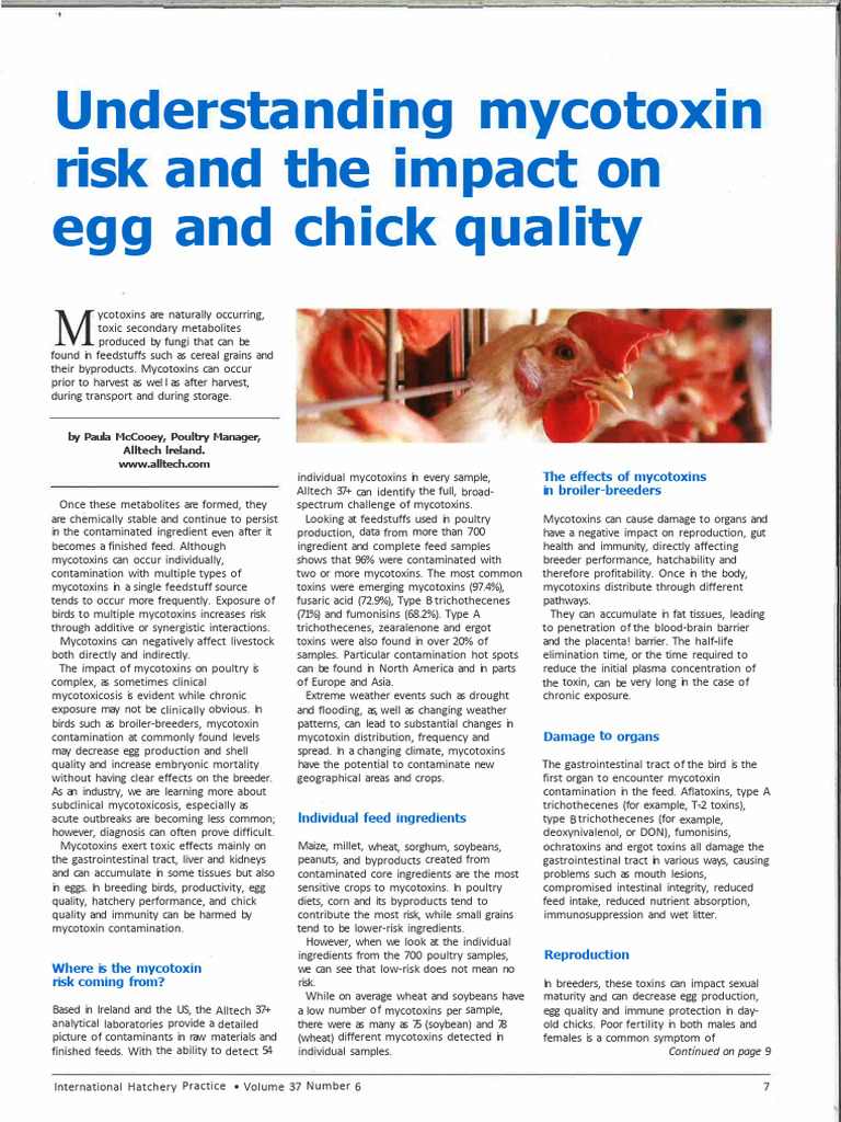 Understanding mycotoxin risk and the impact on egg and chick quality ...