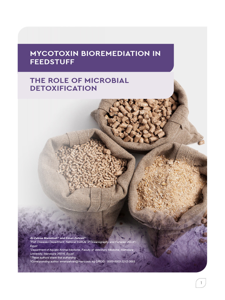 Bioremediation-Mycotoxins-EN | PDF | Mycotoxin | Yeast