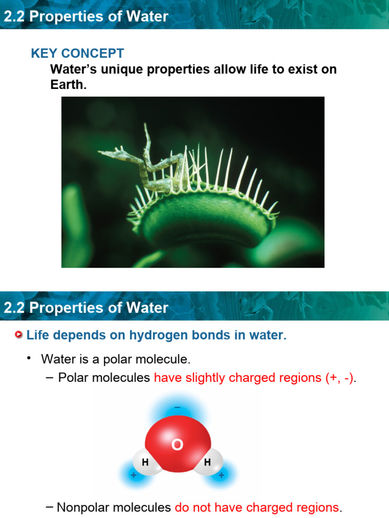 Unique Properties of Water Explained | PDF | Properties Of Water ...