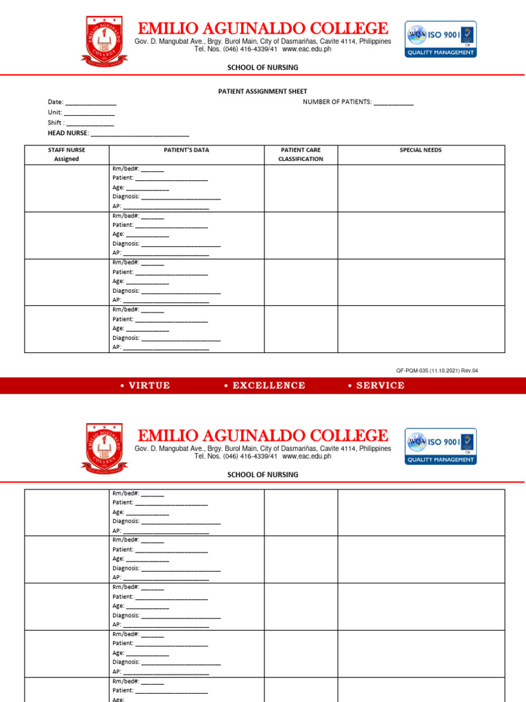 2 Patient Assignment Sheet | PDF | Public Services | Nursing