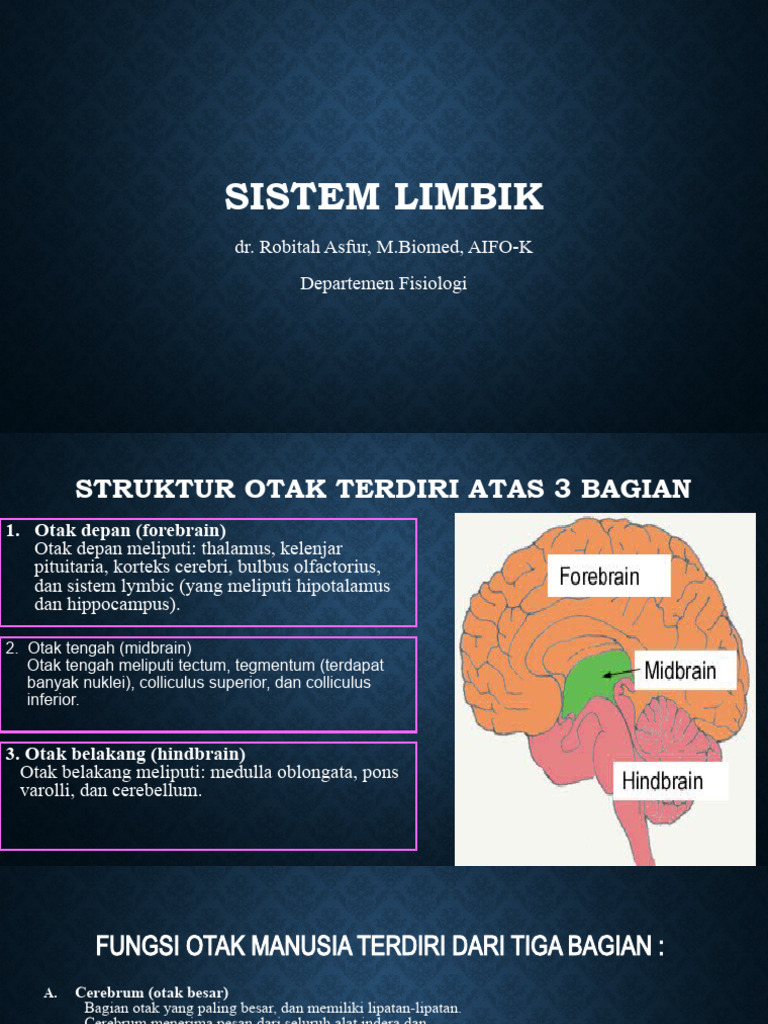 Sistem Limbik new | PDF