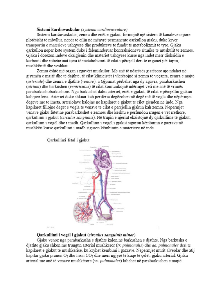 Zemra (Cor) | PDF