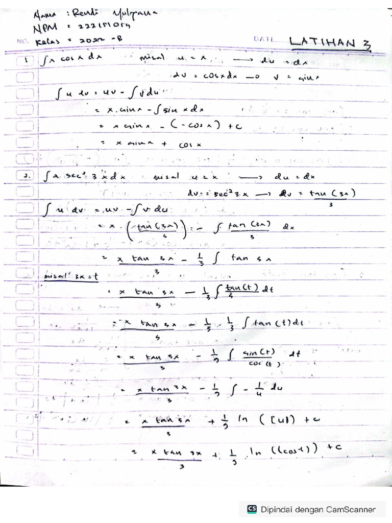 059 Rendi Mulyana Kalkulus Integral | PDF