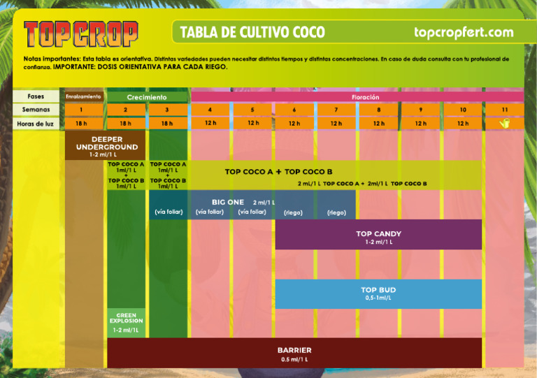 Tabla Coco | PDF