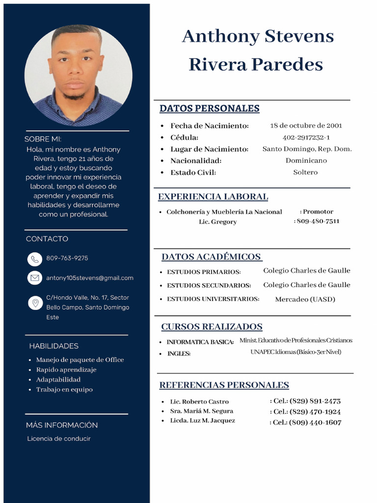 Anthony Stevens CV | PDF