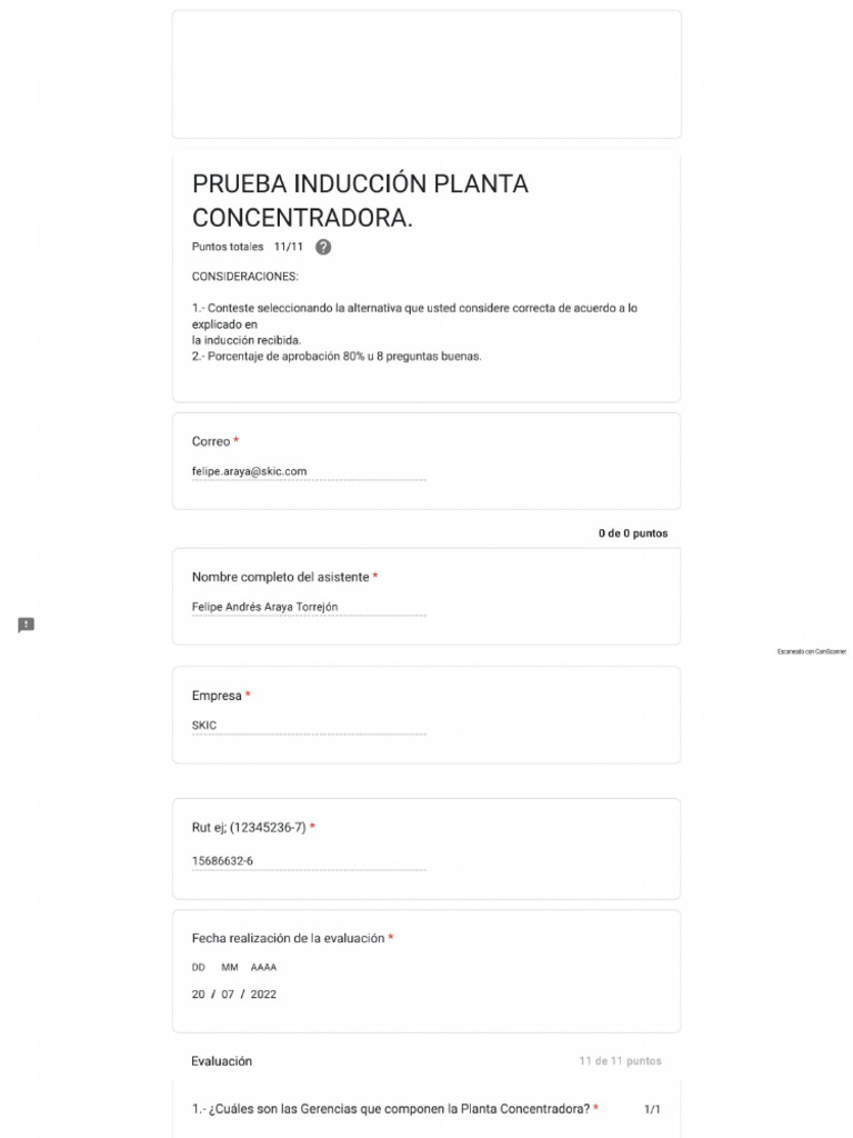 Prueba Inducción Planta Concentradora | PDF