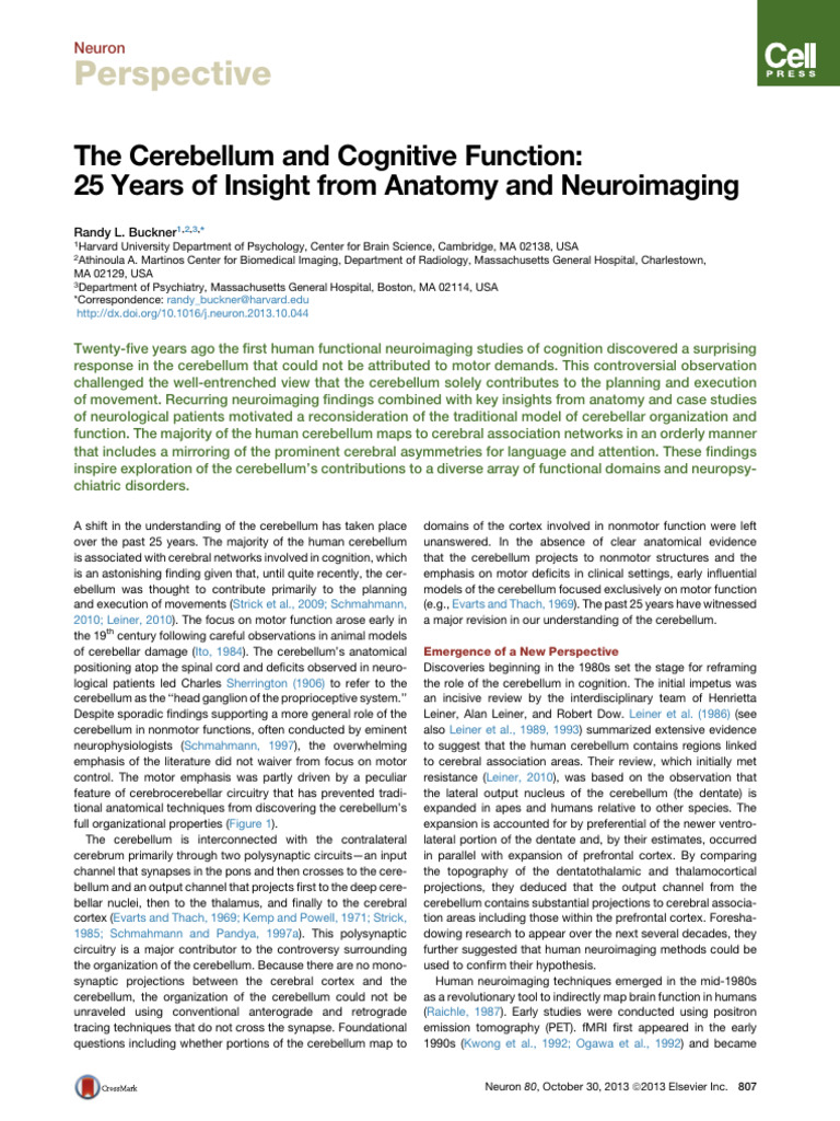 Cerebellum's Role in Cognitive Function | PDF | Cerebellum | Cerebrum