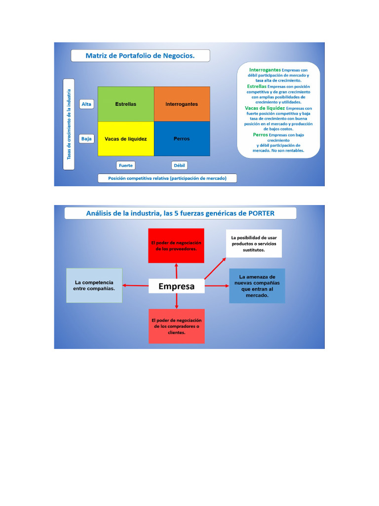 MATRIZ PORTAFOLIO - 5 FUERZAS DE PORTER | PDF