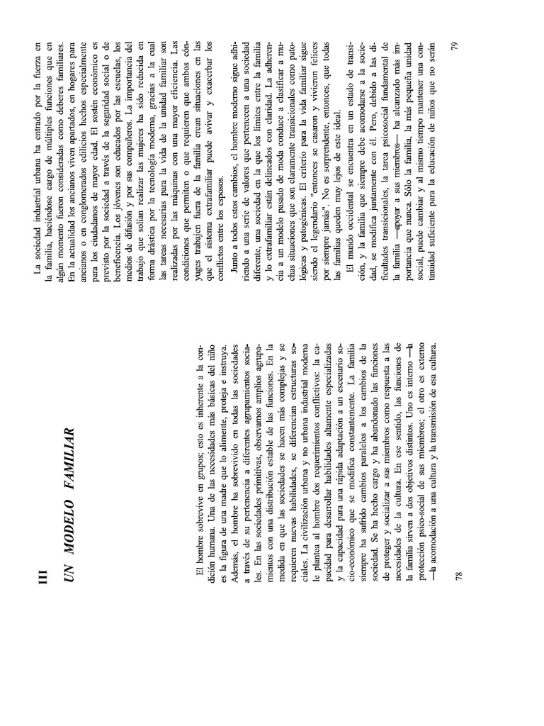 Minuchin Cap 3 Un Modelo Familiar | PDF