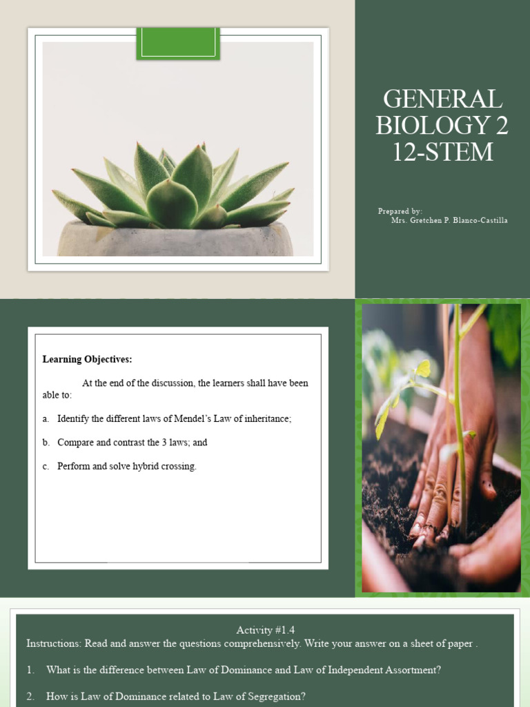 Mendel's Laws of Inheritance Guide | PDF | Dominance (Genetics) | Genetics
