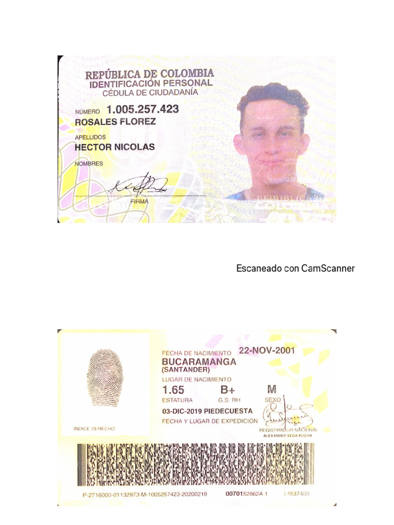 Cedula Nicolas | PDF