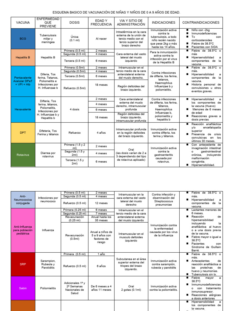 ESQUEMA_BASICO_DE_VACUNACION | PDF | Epidemiología | Enfermedades animales