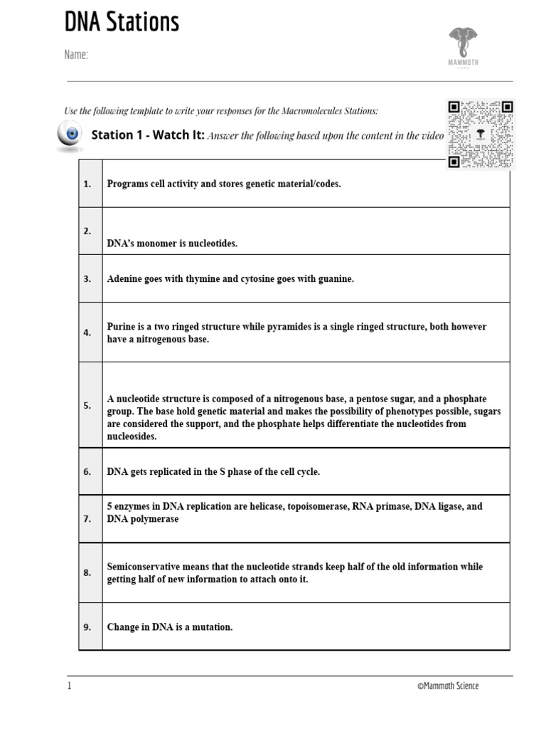 Benjamin Lynch - Copy of Copy of Adalae: DNA Stations Answer | PDF ...