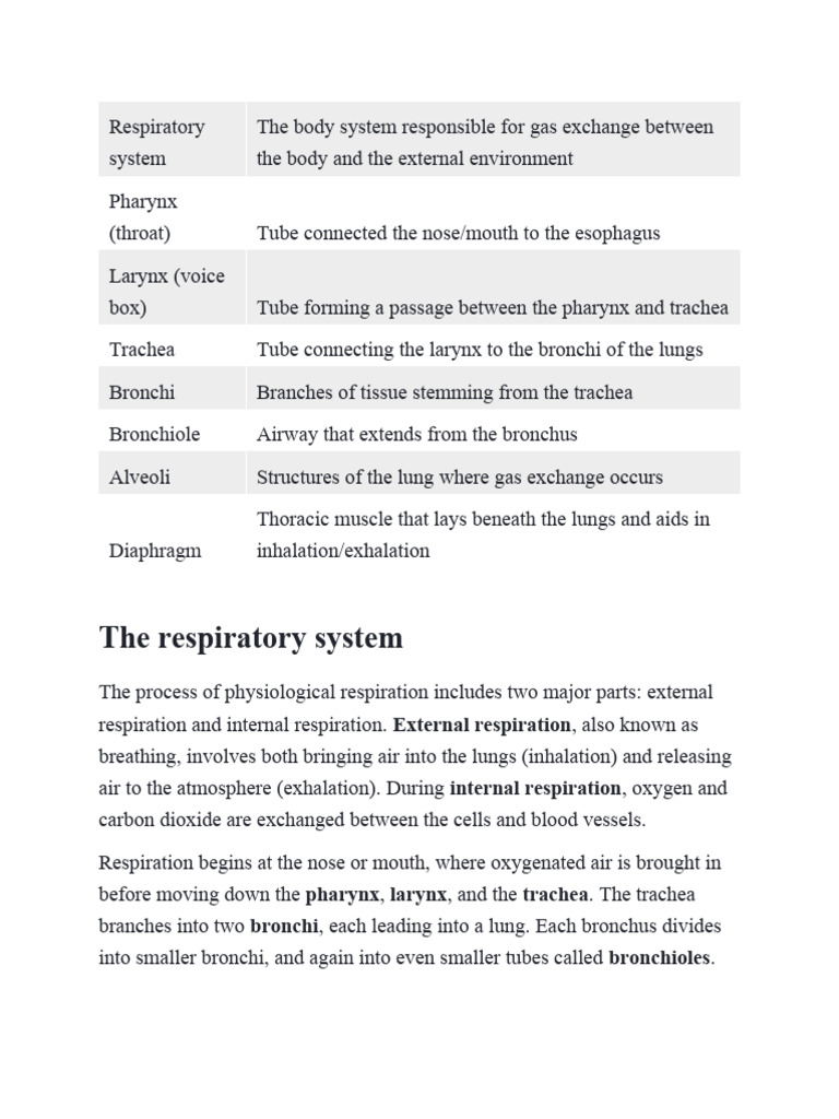 Respiratory-system | PDF | Respiratory System | Heart