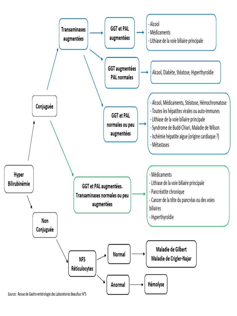 Bilan de Cytolyse Hépatique | PDF | Hépatite | Cirrhose
