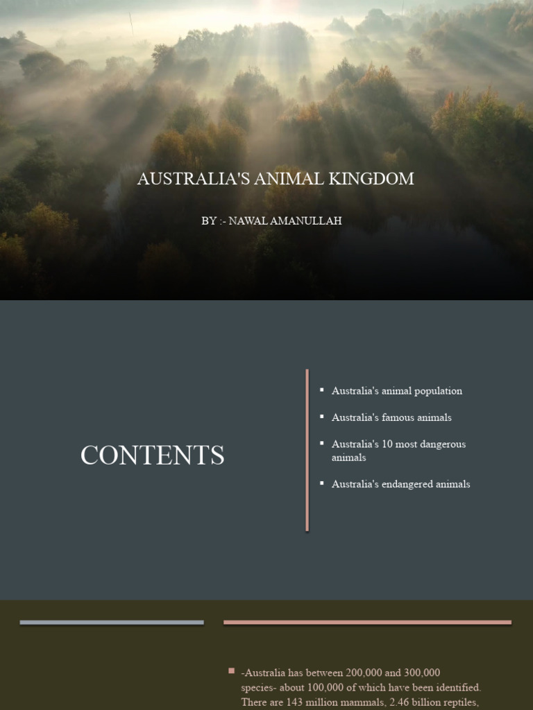 australia's animal kingdom | PDF | Australia | Reptile