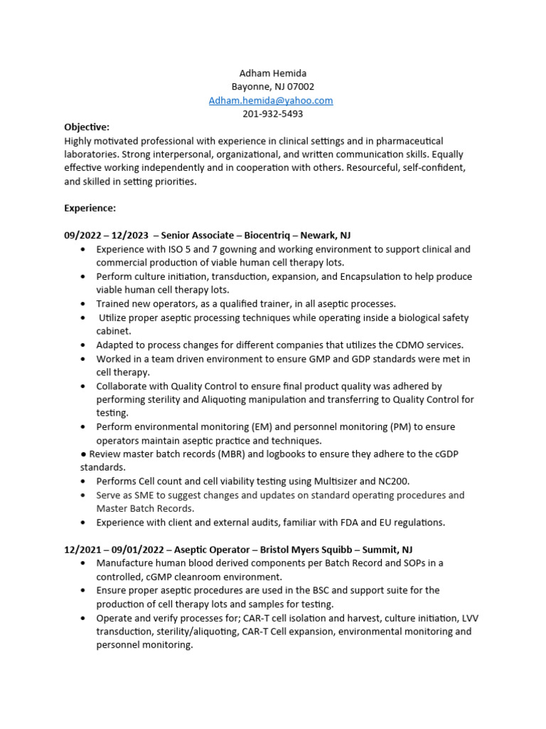 Adham Hemida Resume 2 | PDF | Business