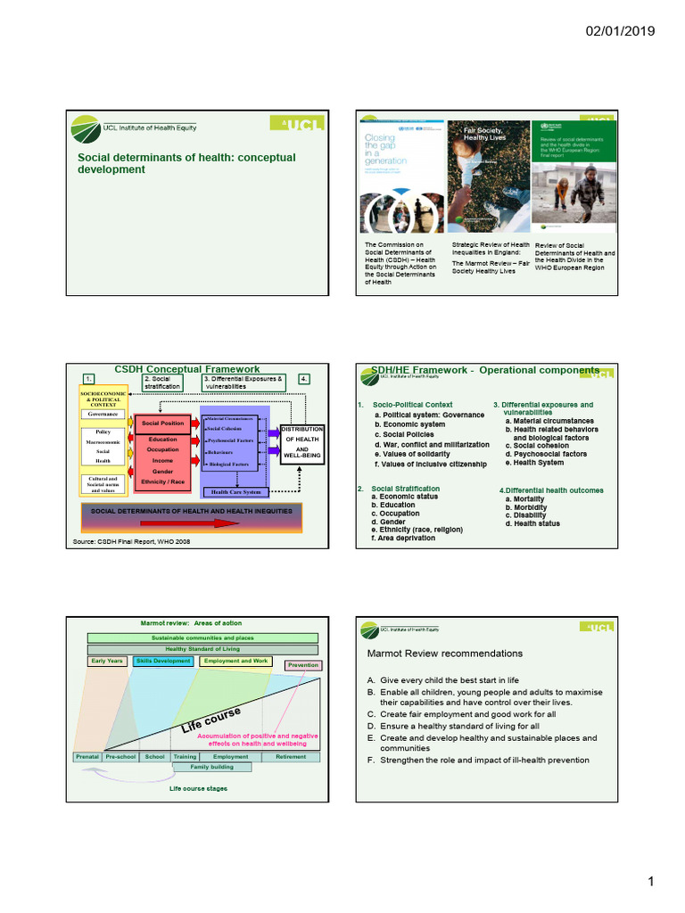 Session 2 Handout Conceptual Models | PDF | Health Equity | Social ...