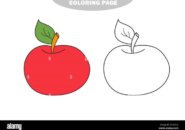 Colouring | PDF