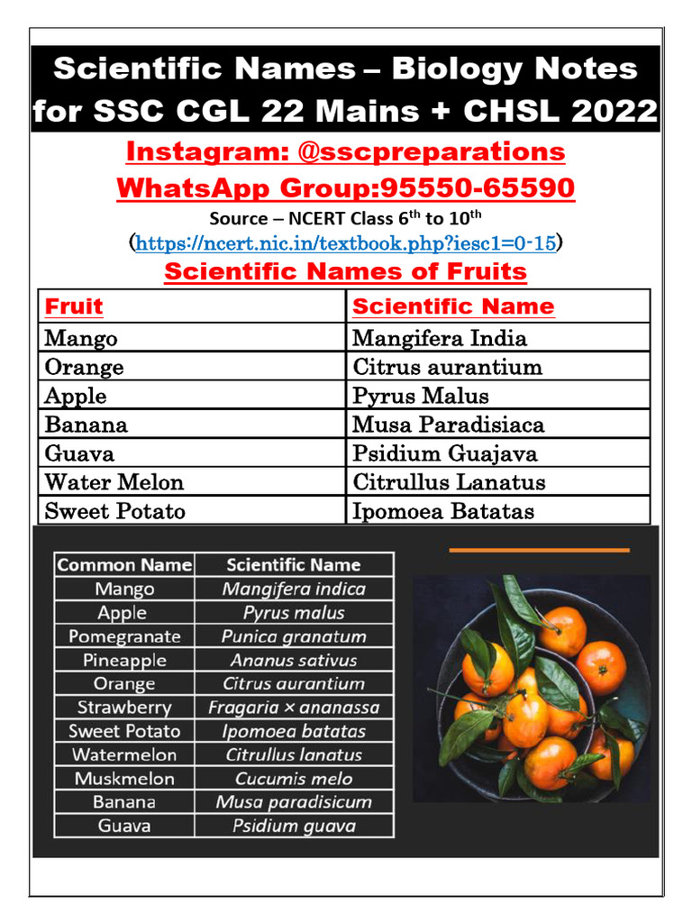 Scientific Names for SSC CGL Biology | PDF | Wellness