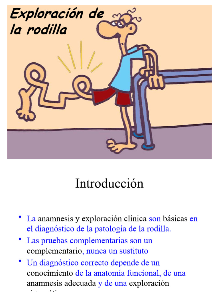 Exploración y anatomía de la rodilla | PDF | Rodilla | Anatomía humana