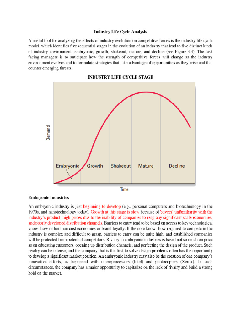 Industry Life Cycle Analysis BCG | PDF | Profit (Economics) | Demand