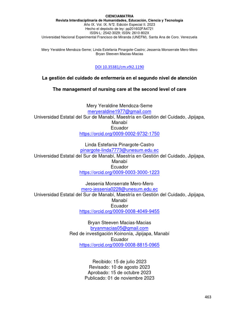 La Gestión Del Cuidado de Enfermería en El Segundo Nivel de Atención ...