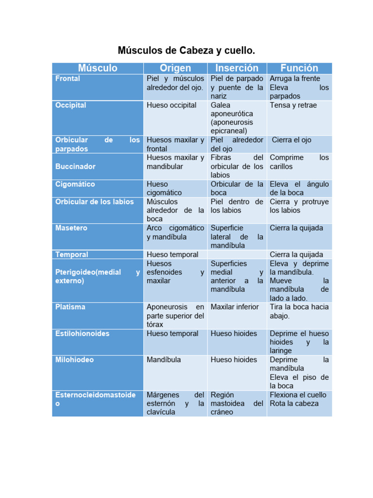 03-B._Cuadros_de_principales_musculos_(Apuntes). | PDF | Abdomen | Pelvis