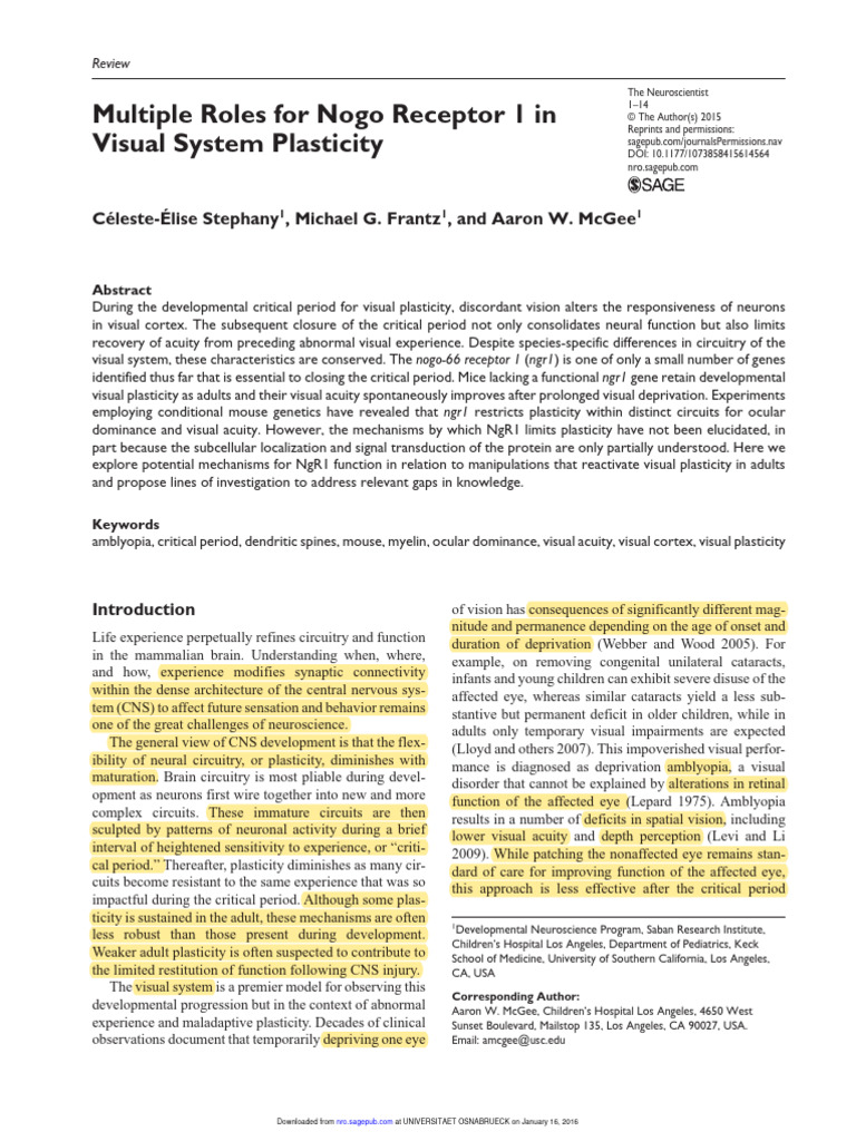 Multiple Roles For Nogo Receptor 1 in Visual System Plasticity, 2015 ...