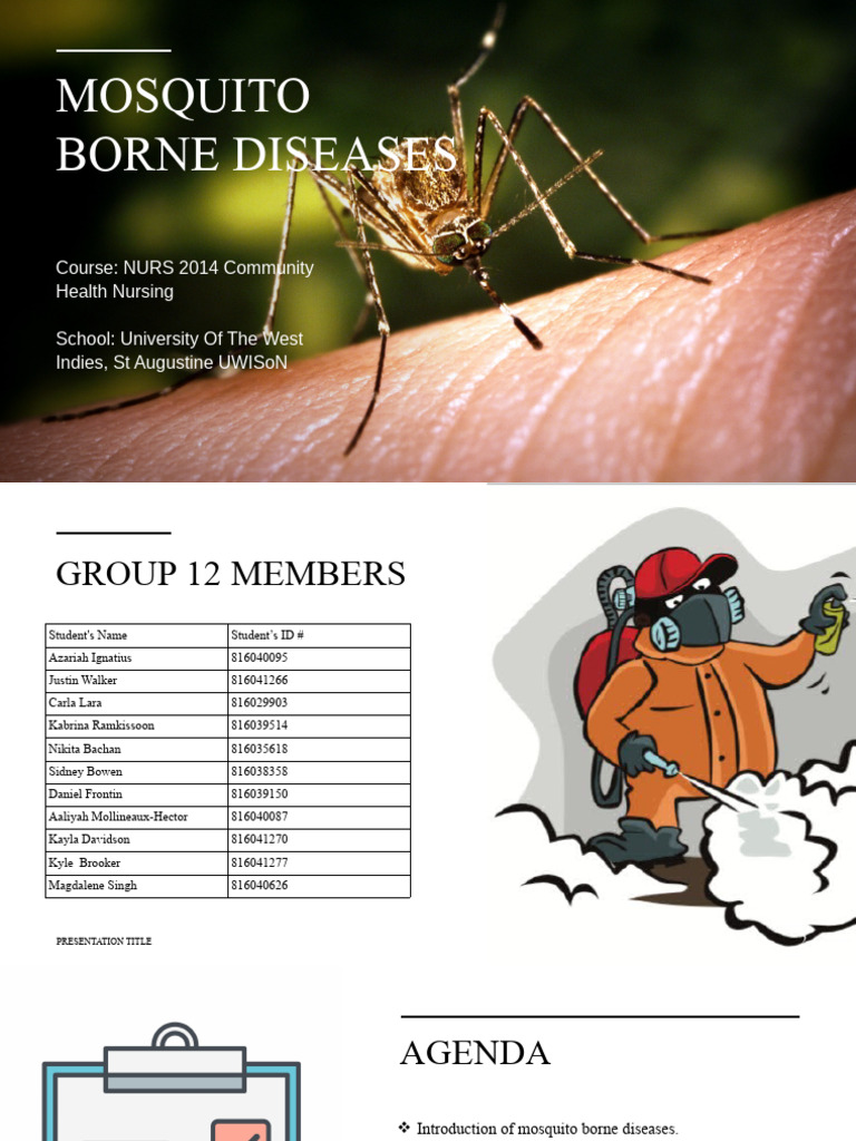 Mosquito Borne Diseases | PDF | Mosquito Net | Malaria