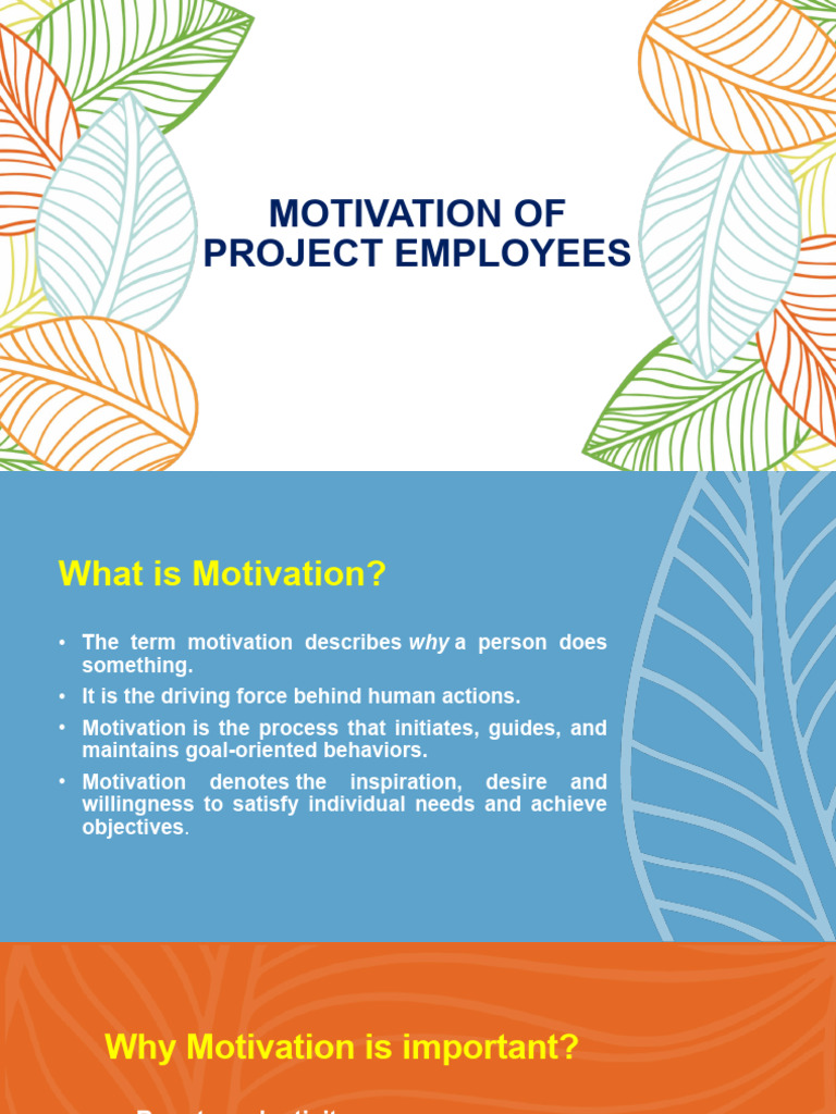 Motivation of Project Employees | PDF | Motivational | Motivation