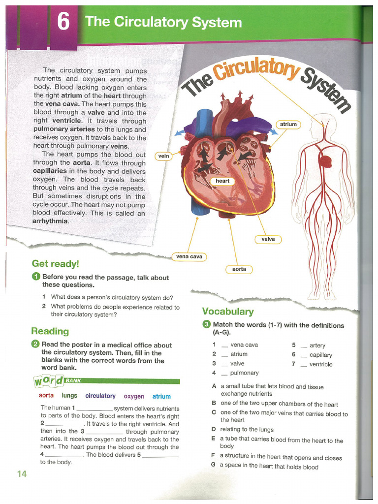 Nursing Book 1 6 10 Pdf