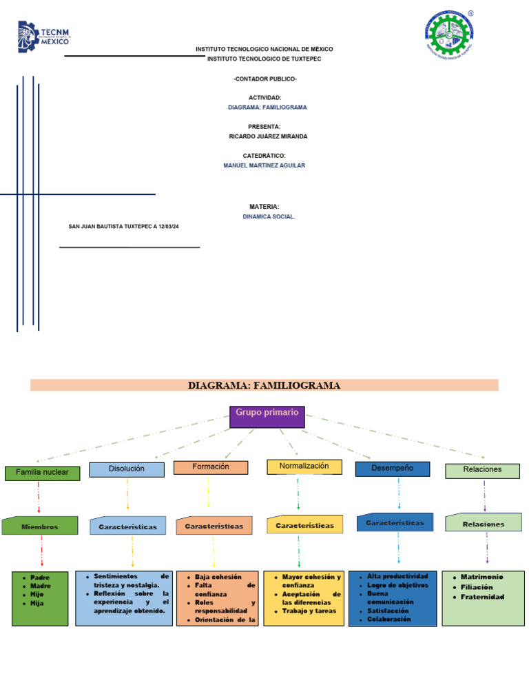 Dinamica Social - Diagrama - Saul - Suarez | PDF