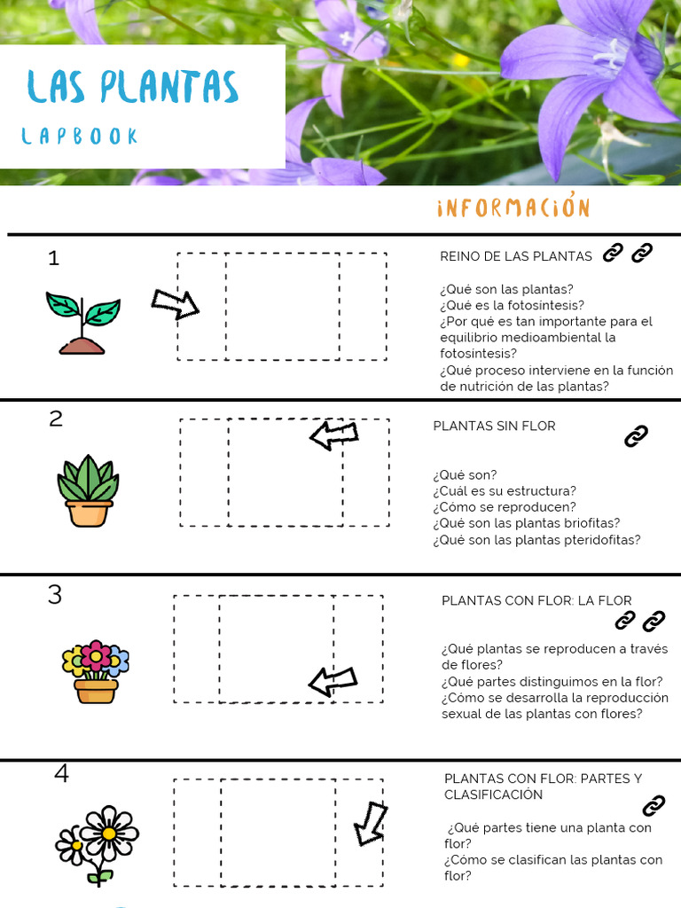 LAPBOOK LAS PLANTAS - AprendiendoInfinito | PDF