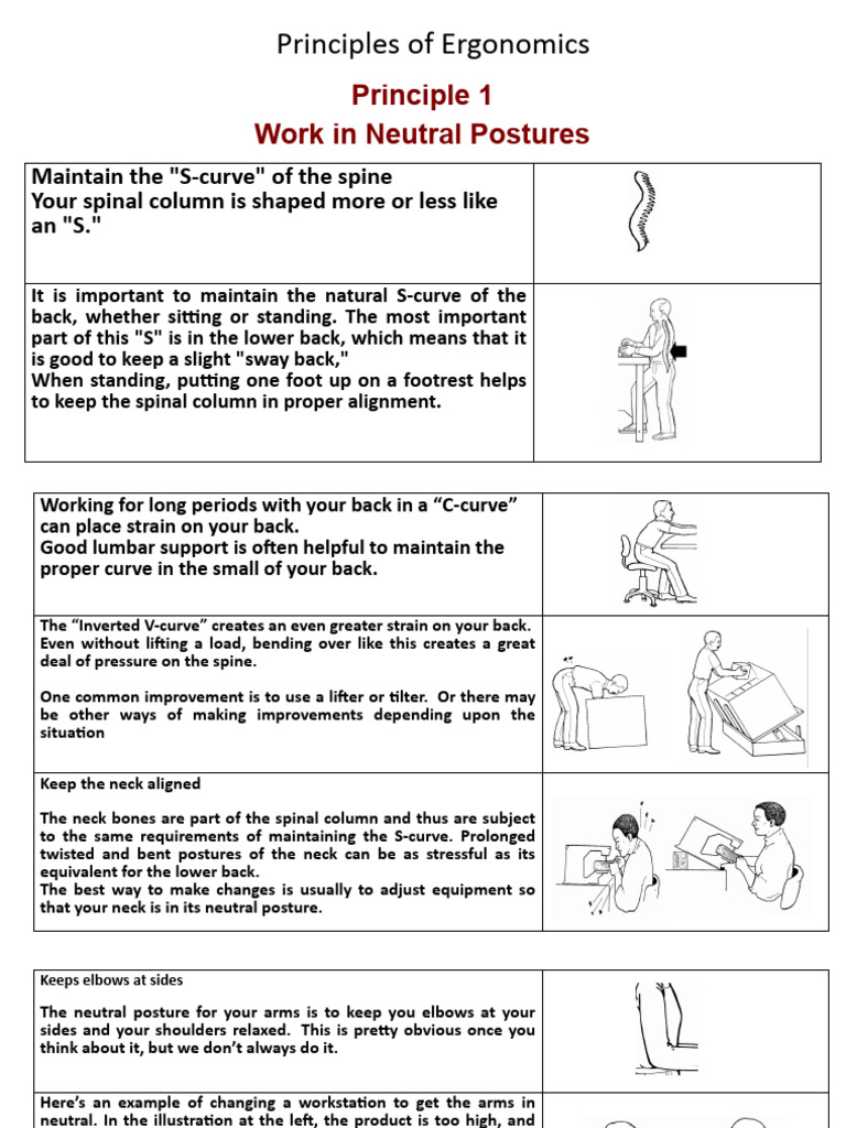 Lecture 3-4 Principles of Ergo | PDF | Vertebral Column | Elbow