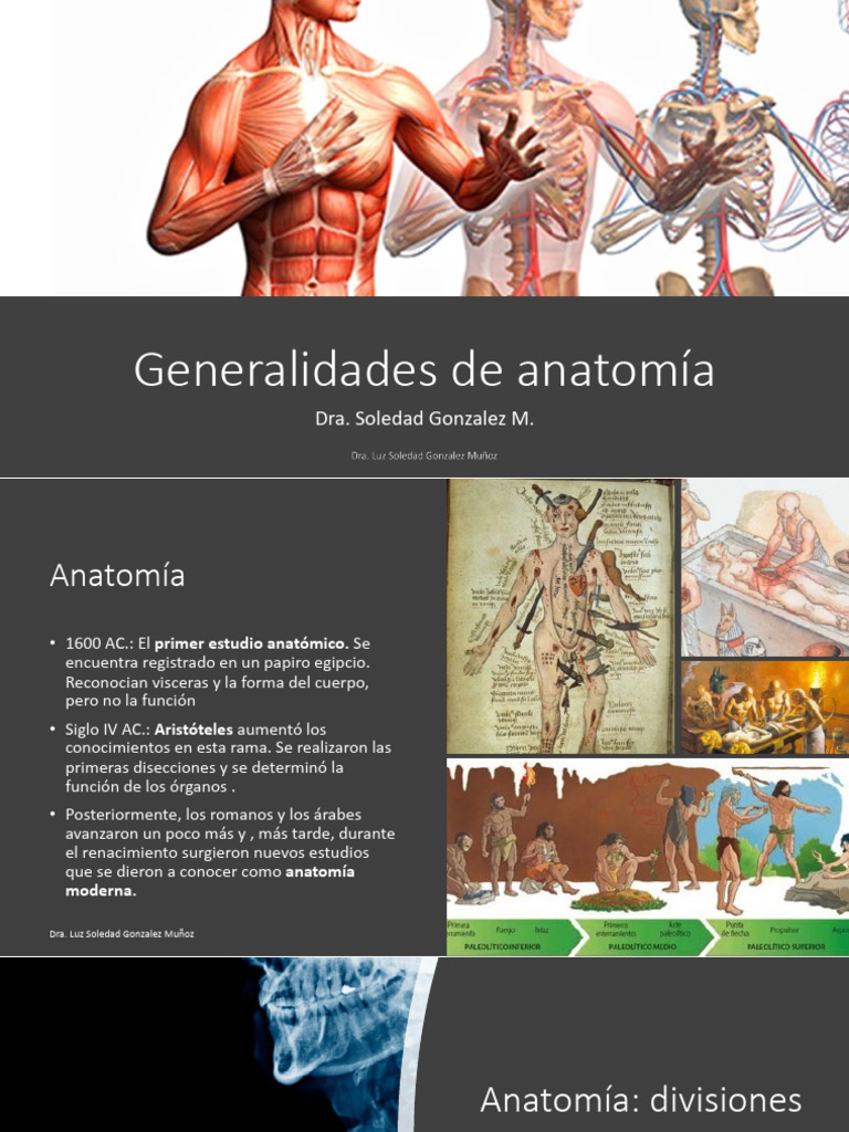 Clase 1 Generalidades Anatomia - MORF100-23 | PDF | Anatomía | Términos ...