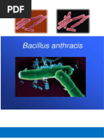 Bacillus anthracis: Características y Control | PDF | Ántrax | Bacilo