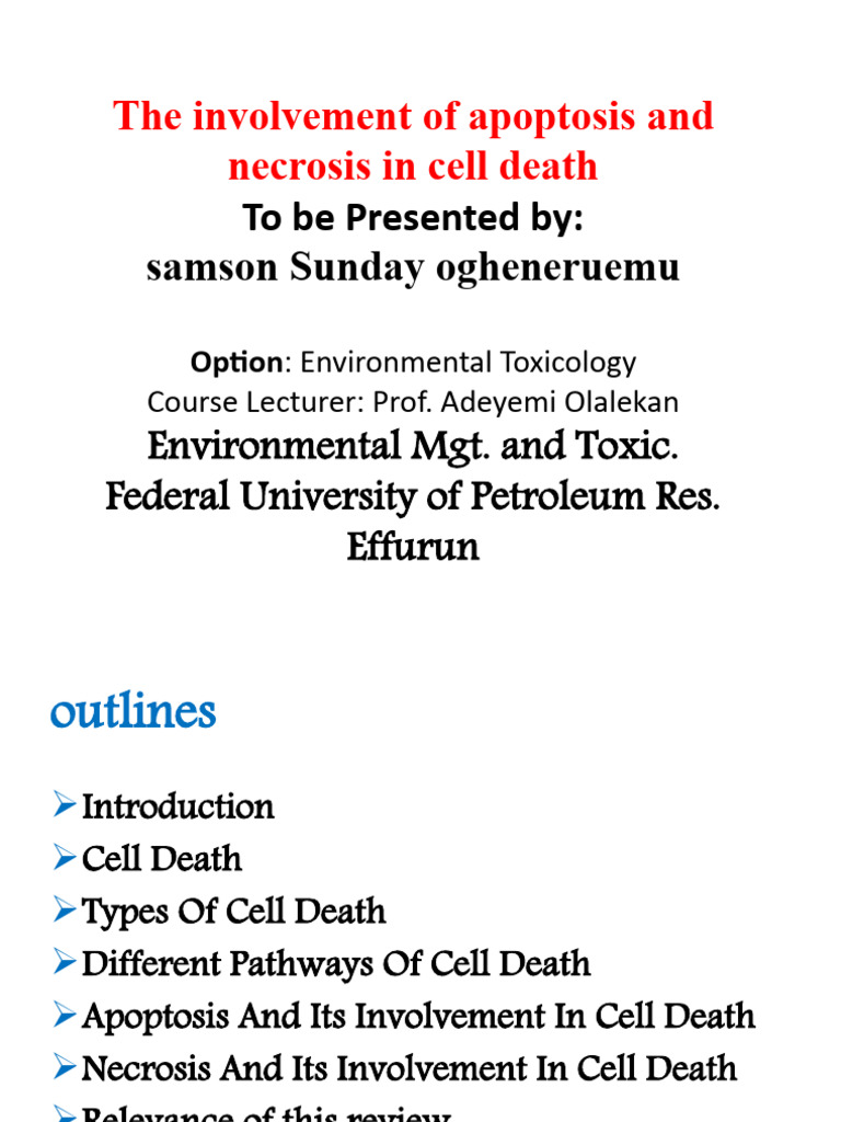 The Effects of Apoptosis and Necrosis in Cell Death | PDF | Apoptosis ...