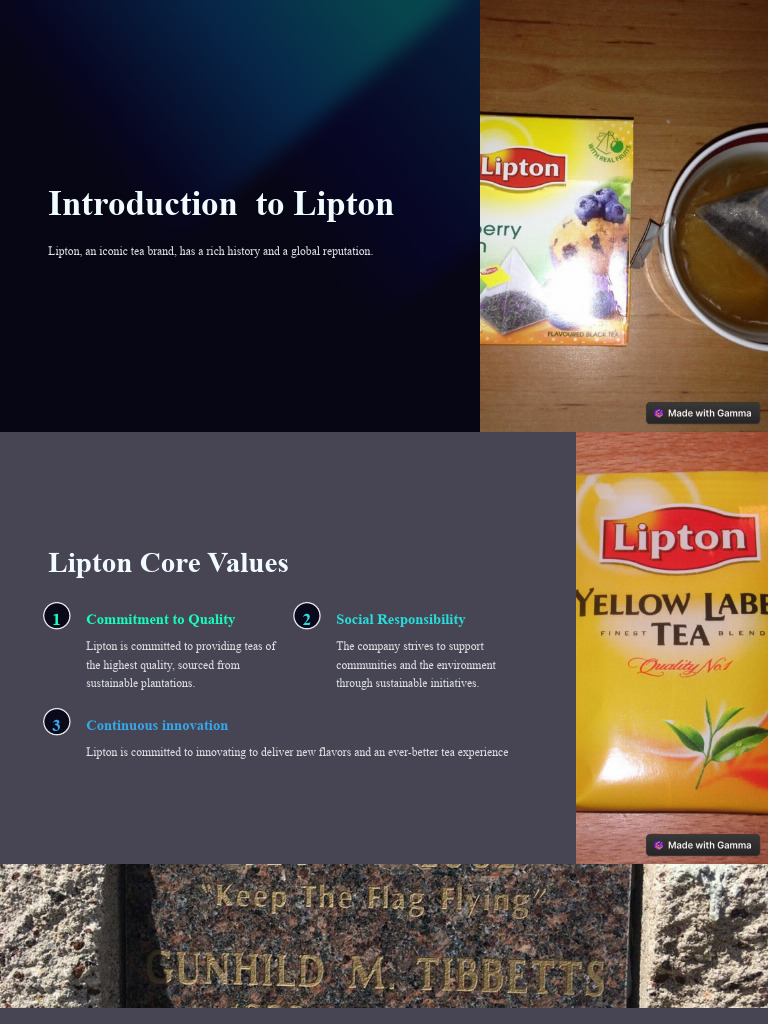 Introduction To Lipton | Download Free PDF | Sustainability | Tea