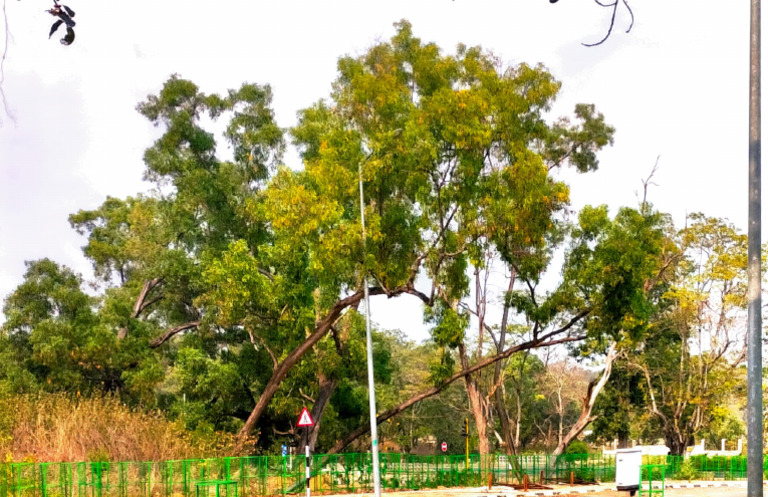 Adobe Scan 21-Mar-2024 | PDF