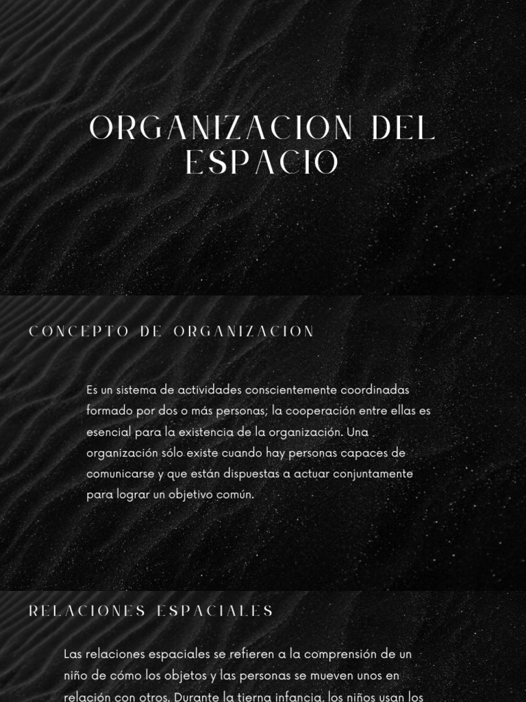 ORGANIZACION DEL ESPACIO | PDF