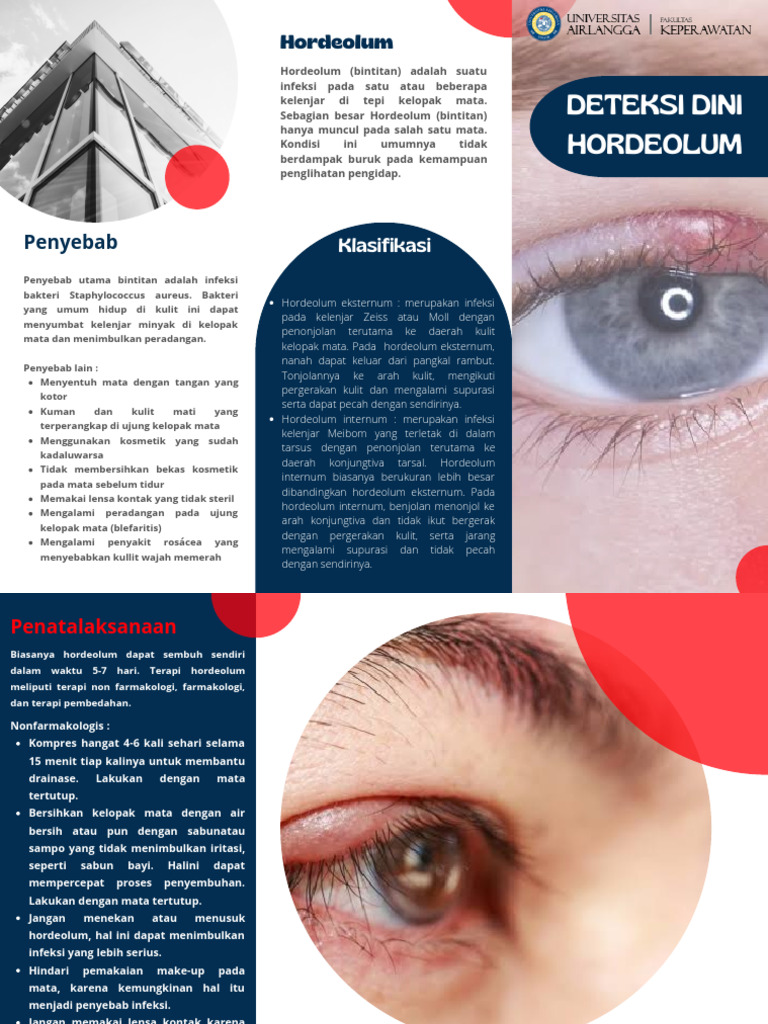 HORDEOLUM | PDF