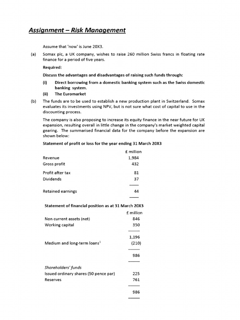 Risk MGT Assignment | PDF